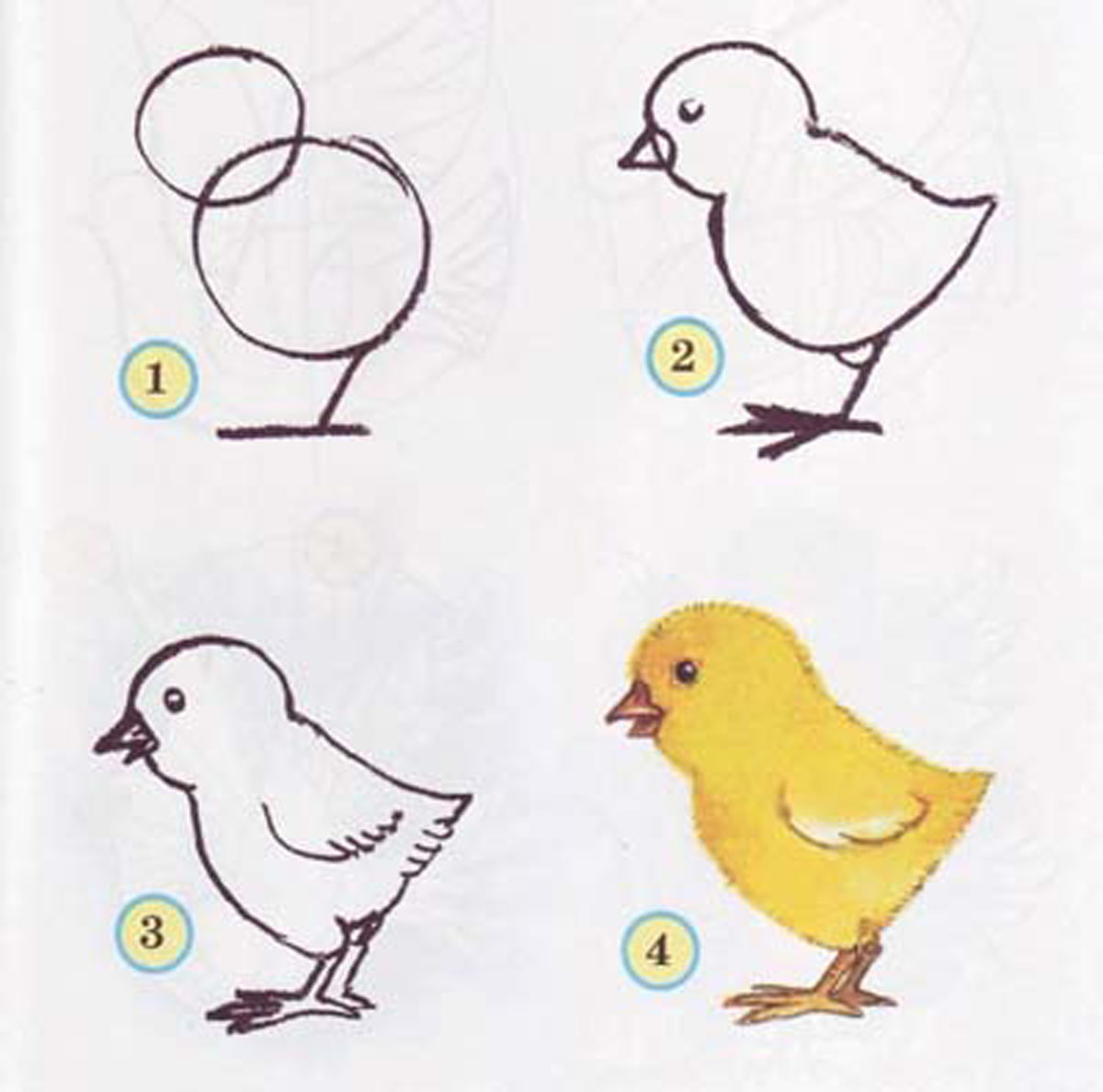 علّموا أولادكم الرسم خطوة خطوة ! ارسموا 17 حيواناً ابتداءً من شكل ...